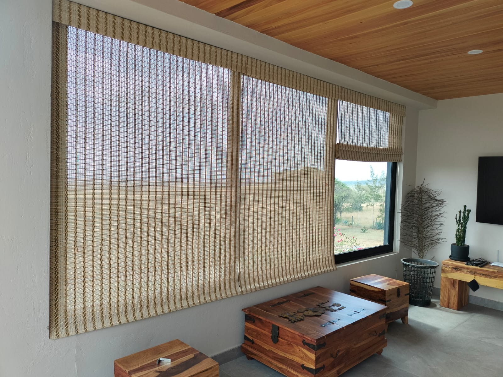 Bamboo Blinds - Blinds